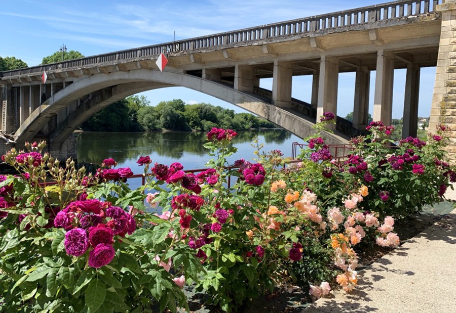 Des quais plantés rendus aux piétons - L'Observatoire du CAUE de la Gironde